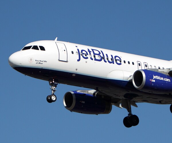 JetBlue Flight Bird Strike Forces Emergency Landing at JFK | Newsmax.com
