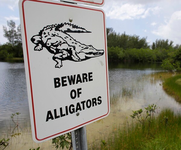 UPDATE 6-Disney to Post Alligator Warning Signs after Boy's Death ...