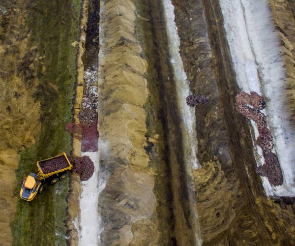 Denmark's 'Zombie' Minks Rise From Mass Grave | Newsmax.com