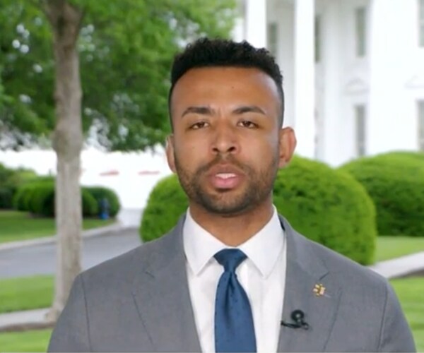 Harrison Fields to Newsmax: Activist Judges Must Stop | Newsmax.com