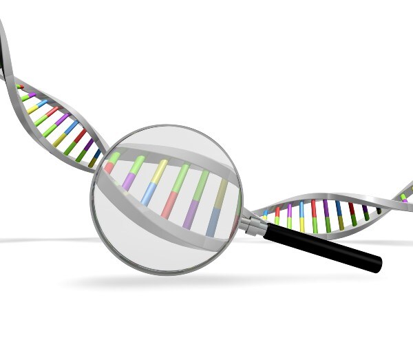 Biden Order Enables Border Human Trafficking | Newsmax.com