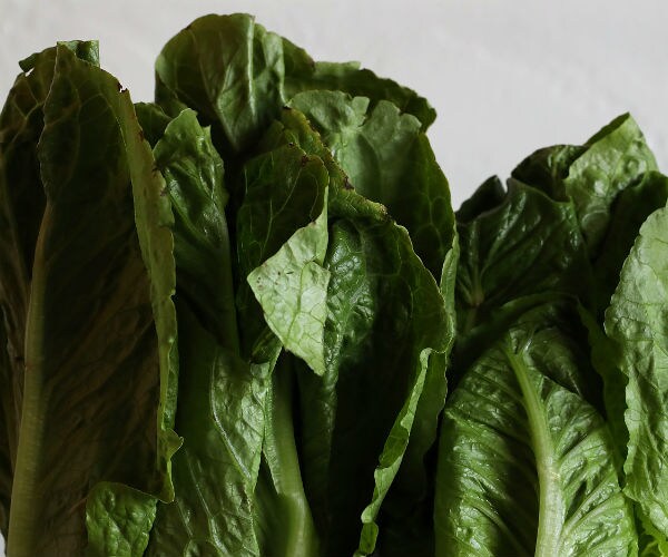 Romaine Lettuce Outbreak Update: 149 Sick in 29 States | Newsmax.com