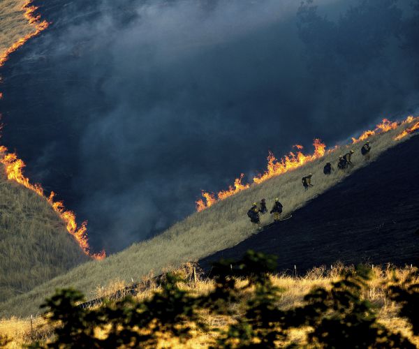 Calif. Faces Historic Power Outage Due to Fire Danger | Newsmax.com