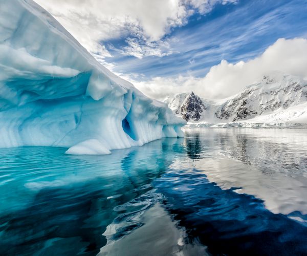 Antarctica Turning Green as Warm Temperatures Increase Moss Growth ...