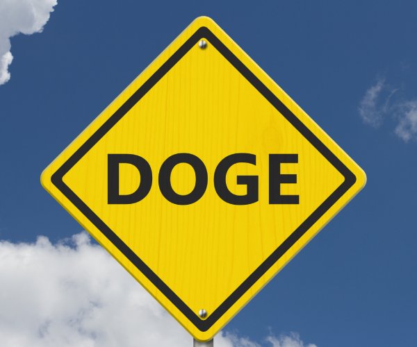 Musk: DOGE Team Getting Daily Death Threats | Newsmax.com