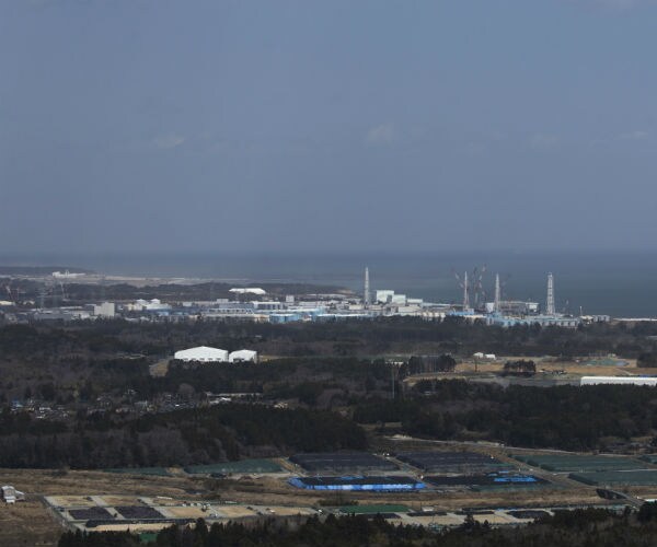Removal of Fuel in Pool at Fukushima's Melted Reactor Begins | Newsmax.com