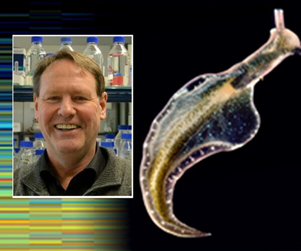 Last Universal Common Ancestor Study Interested in First Degrees of ...