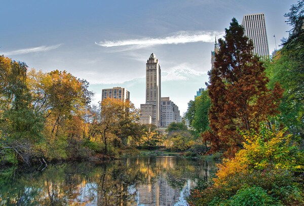 Nature Lovers Travel Tips for New York City: 7 Places to Visit on Next ...