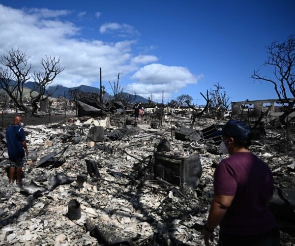 CNN Questions WH for Telling Maui Victims to Use FEMA Website | Newsmax.com