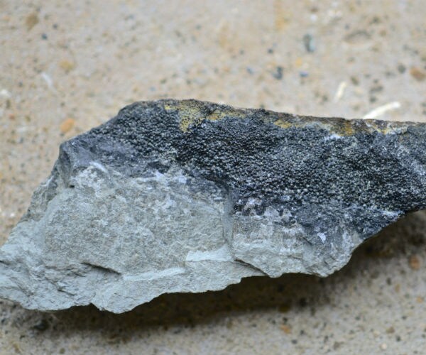 Dinosaur-Killing Crater Study Validates Geological Theory | Newsmax.com