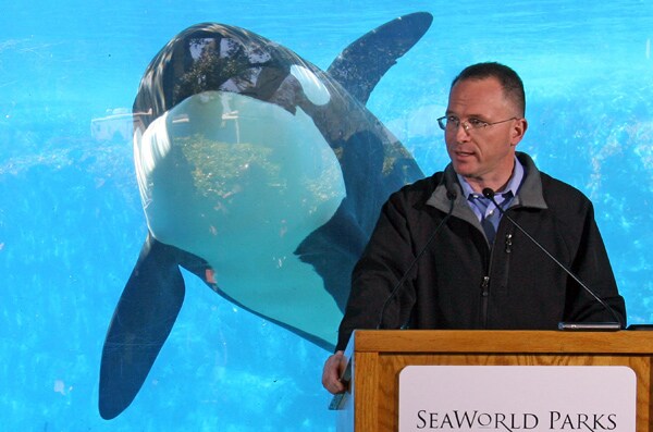 SeaWorld CEO Stepping Down as Attendance and Stock Slump | Newsmax.com