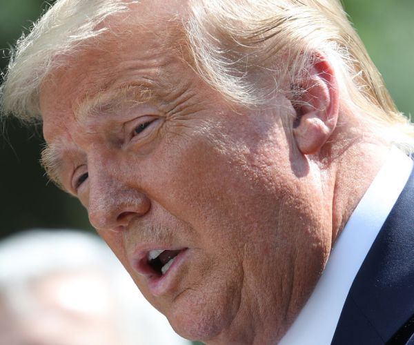 Joe Shapiro's Wife Says He Never Took SATs for Trump, Pair Didn't Meet ...