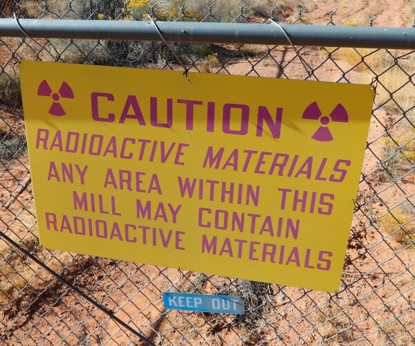 Radioactive Bee Nest Found in S.C. Near Nuclear Site | Newsmax.com