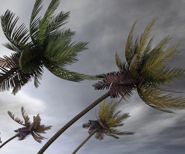 Hurricane Names for 2018 Listed | Newsmax.com