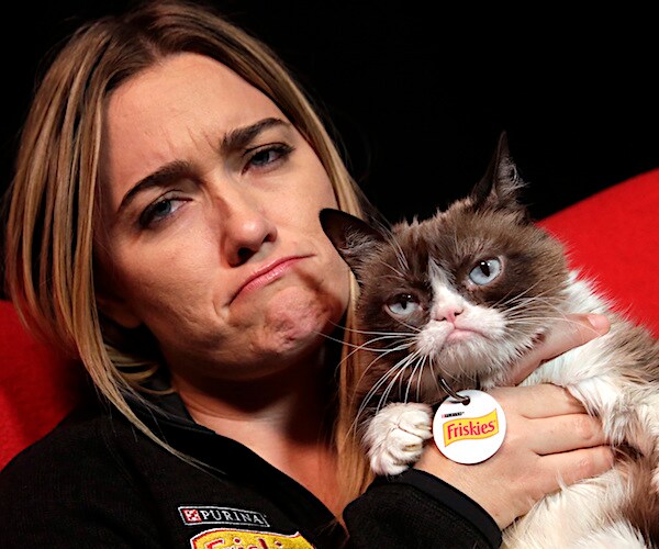 Famous Internet Grumpy Cat Owner Smiling After $710K Court Ruling in ...