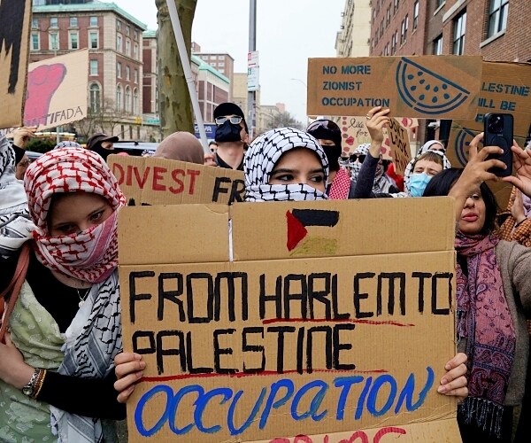 Nate Friedman to Newsmax: Anti-Israel Protesters 'Tied Their Identities ...