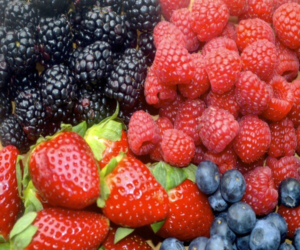Berries May Contain Cancer Fighting Power | Newsmax.com