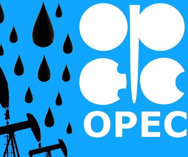 'Historic' OPEC+ Cut Could Push Oil Back to $100 | Newsmax.com