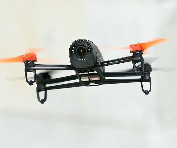 British Military Testing Bug-Sized Drones to Spy on Terrorists ...