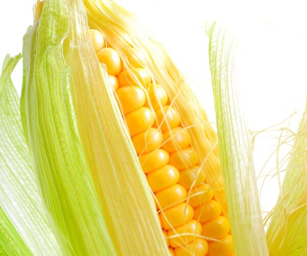 How to Choose the Freshest Corn on the Cob | Newsmax.com