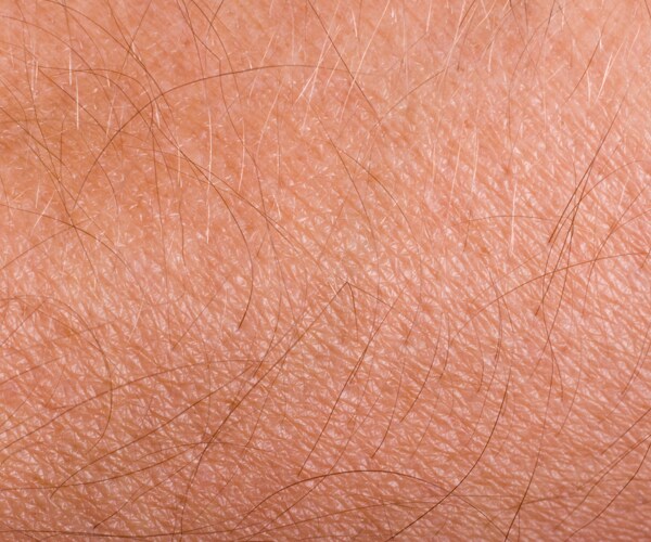 Interstitium, Fluid-Filled Shock Absorber, Recognized as New Human ...