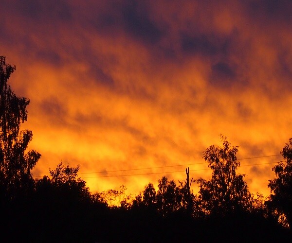 'Apocalyptic Threat' From Wildfires Foreseen by California Climate ...