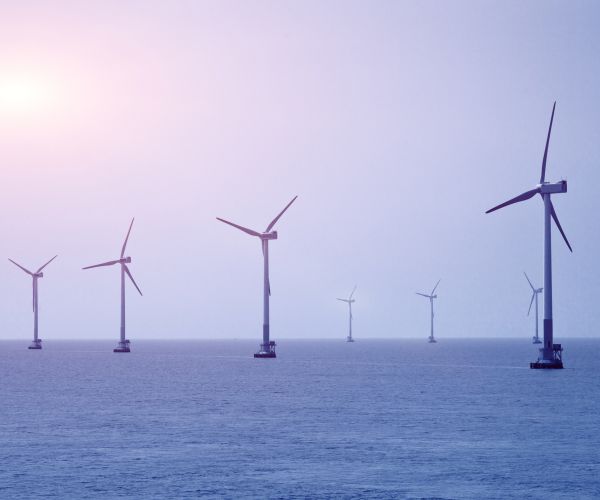 Wind Energy Gets Another Bad Mark | Newsmax.com