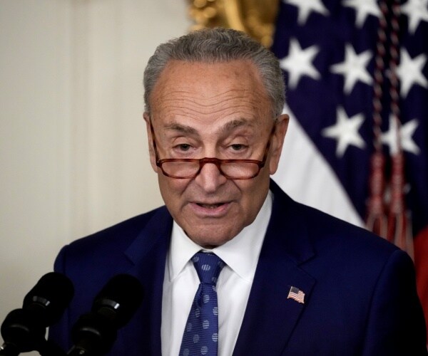Progressives Hammer Schumer Over Manchin Permitting Reform Deal ...