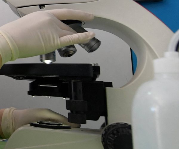 Biotech Lab Working to Create Lab-Grown Human Eggs | Newsmax.com