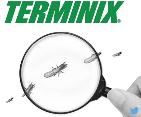 Terminix Fined $10 Million for Toxic Pesticide Spray at Island Resort ...