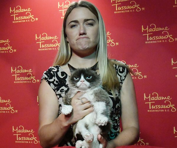 Internet Sensation Grumpy Cat Has Died at Age 7 | Newsmax.com