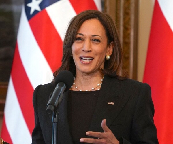 Harris to Meet With CEOs About AI Risks | Newsmax.com