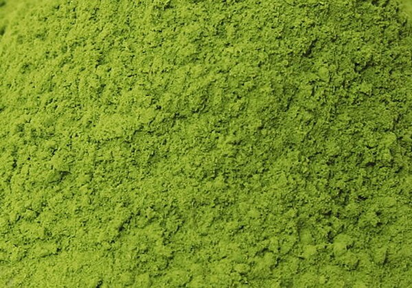 How Catechins in Green Tea Extract Can Keep You Healthy | Newsmax.com