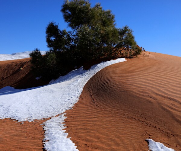 Slip-Sliding Down the Sahara Snow | Newsmax.com