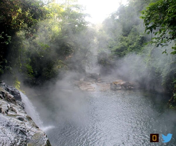 Boiling River in Amazon Rainforest Still Mystery After Big Study ...