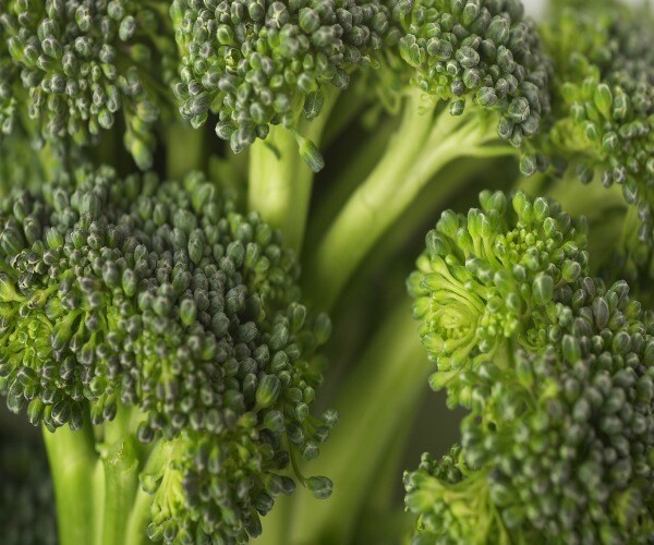 Already Healthful Broccoli May Be Getting a Boost | Newsmax.com