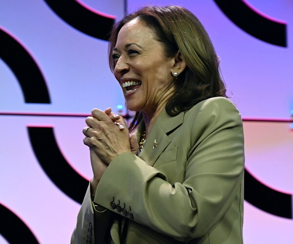 All 50 Democratic Party US State Chairs Back Harris | Newsmax.com