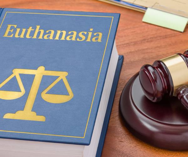 Assisted Suicide Bill Would Abandon Sick, Elderly | Newsmax.com