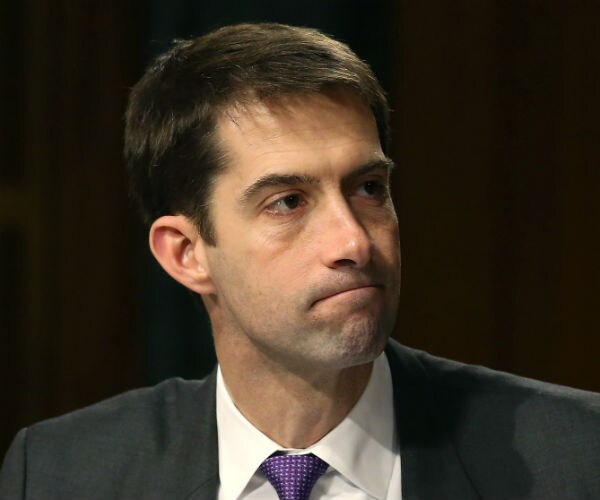 Cotton, Schumer Shouting Match: 'Was Getting My A— Shot At in ...