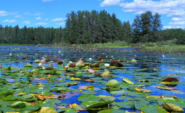 Facts About Minnesota History: 5 Things You Might Not Know | Newsmax.com