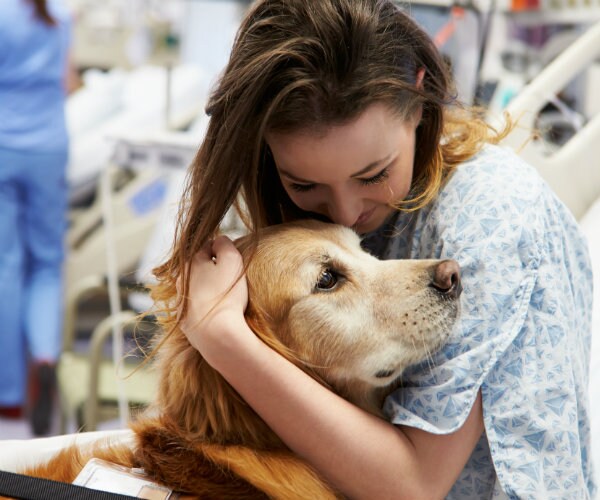 'Animal Therapy' Healers Help Hospital Patients Cope | Newsmax.com