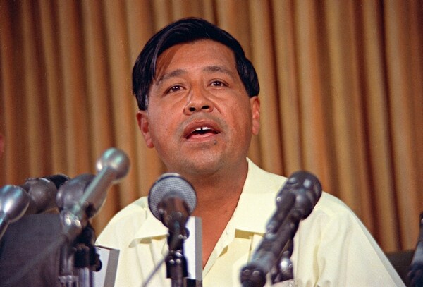 Cesar Chavez to Get Navy Funeral Honors 22 Years After Death | Newsmax.com