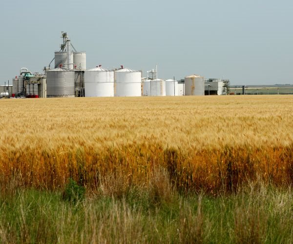 Why Ethanol Plants Pollute More Than Oil Refineries | Newsmax.com