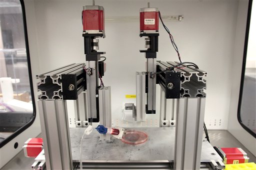 To Ease Shortage of Organs, Grow Them in a Lab? | Newsmax.com