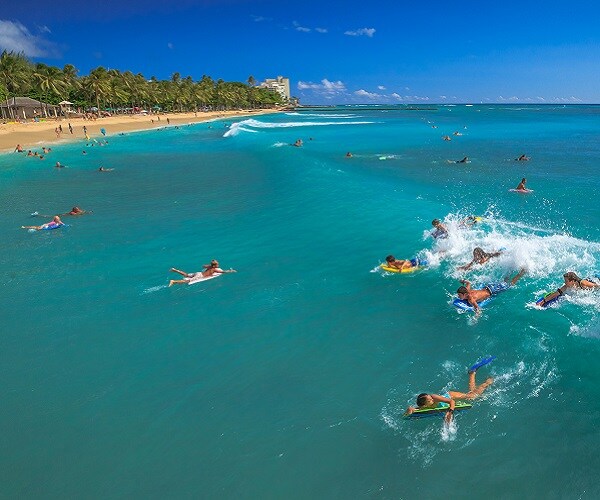 Dylan McWilliams Bit by Bear, Shark, Rattlesnake – But Not on Same Day ...