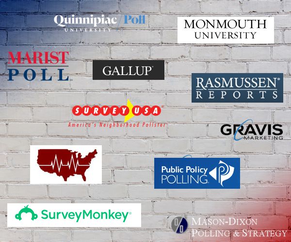 Newsmax's Top 25 Pollsters in America | Newsmax.com