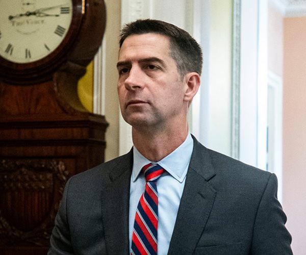 Sen. Tom Cotton Questions Intel CEO's China Ties | Newsmax.com