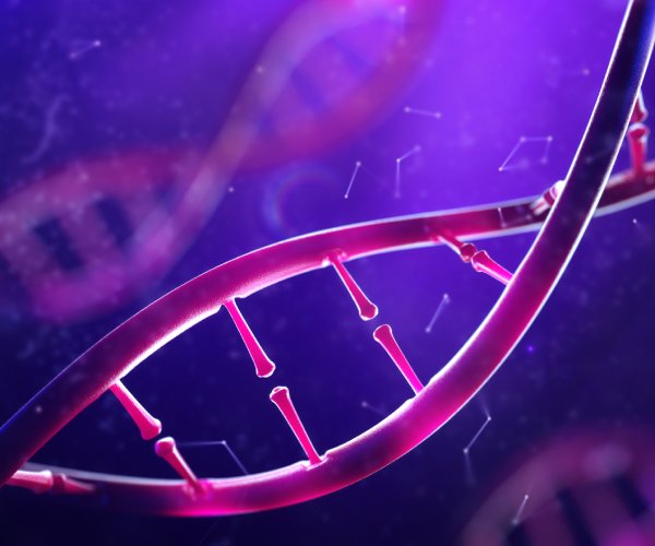 How DNA Sequencing Tied Suspect to Kirk Killing | Newsmax.com