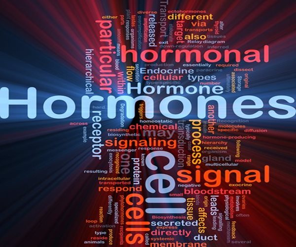 Hormone Levels Tied to Uterine Fibroids | Newsmax.com