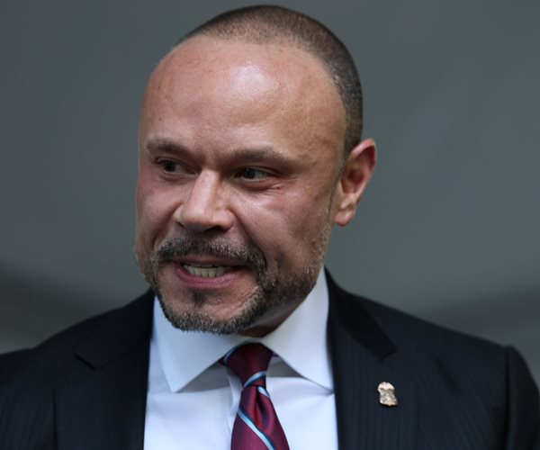 FBI's Bongino Tears Into Massie for 'BS Bombs' in Pipe Bomb Case ...